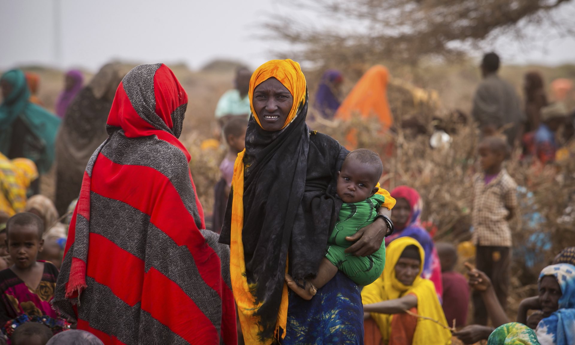 Famine looms in four countries as aid system struggles to cope, experts ...