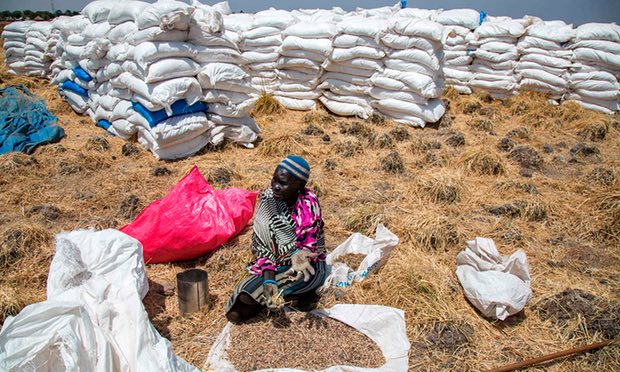 Famine warning signs were clear – so why are 20 million lives now at ...